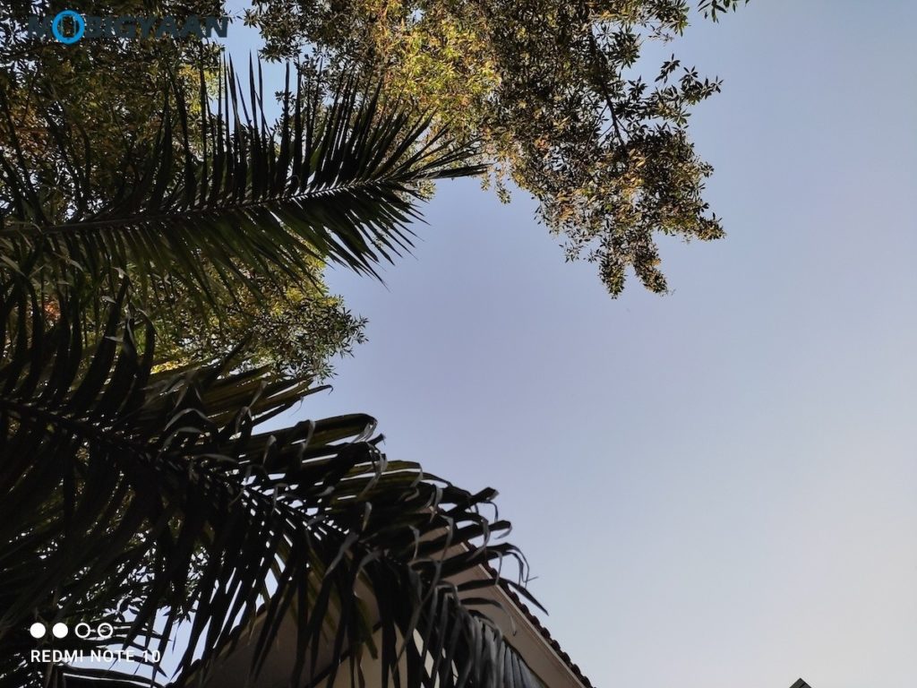 Redmi Note 10 Review - A Worthy Contender