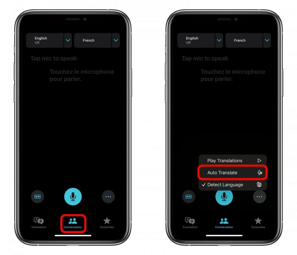 How to enable Auto-Translate feature in the Translate App on iPhone